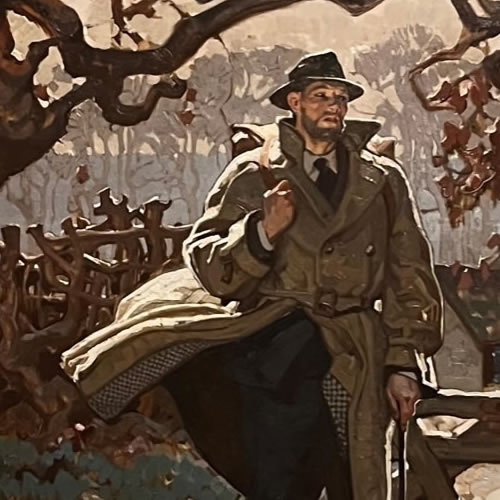 Taraba Illustration Art