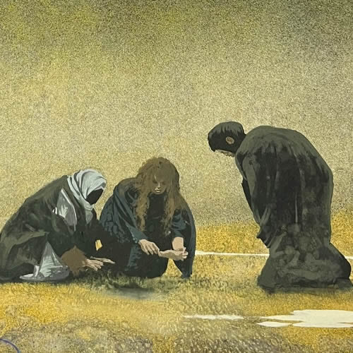 Taraba Illustration Art